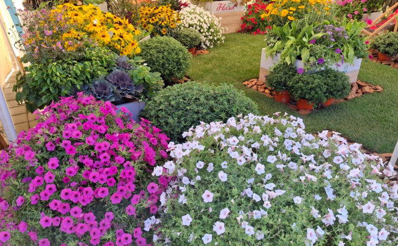 Pe 29 Mai, iubitorii de flori sunt așteptați la expoziția „ExpoFlora ...